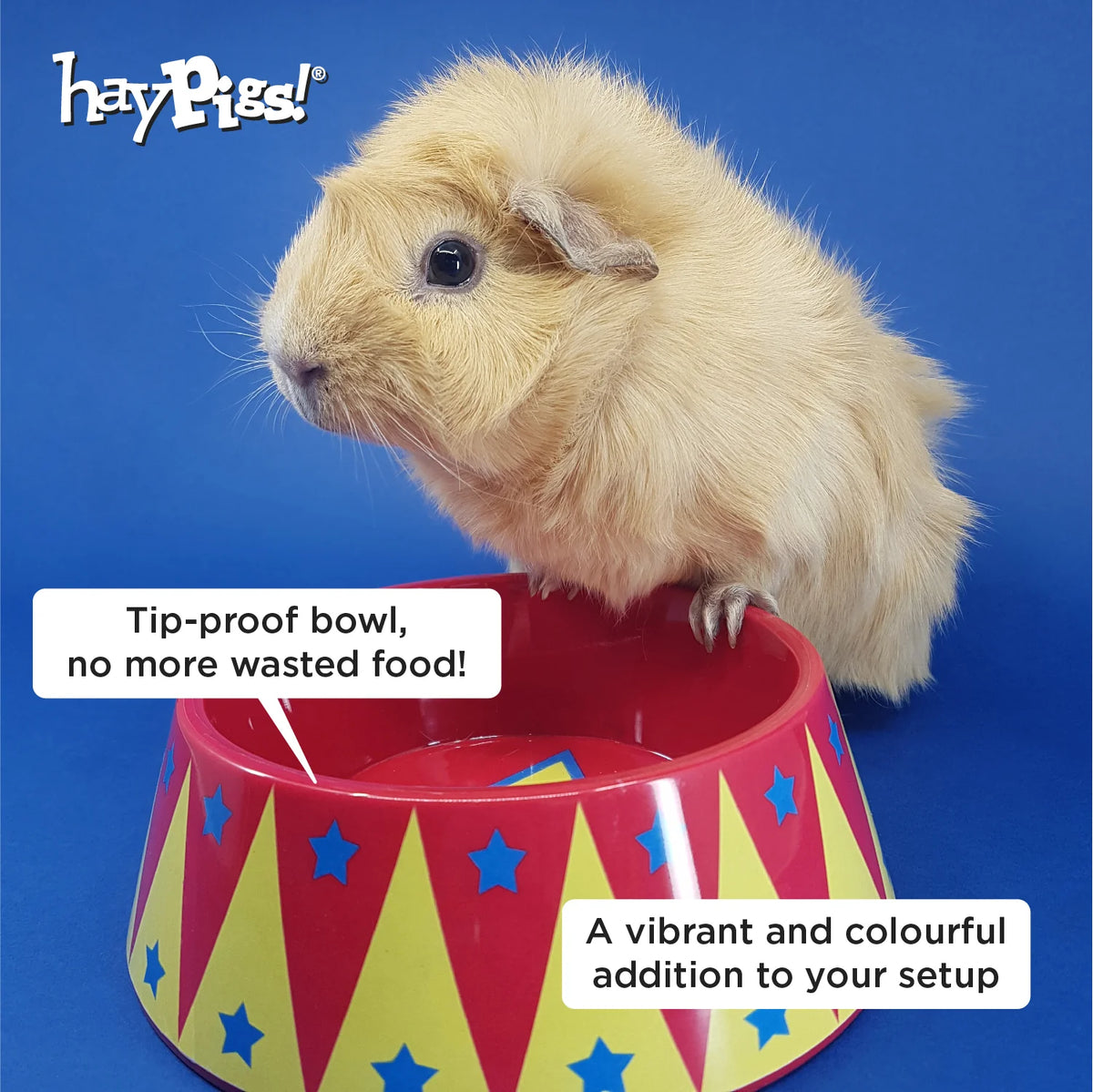 01_FoodCravingTamer_Infographic-05_53b01d25-2812-448b-9a6a-e11c4bfb7473 ...