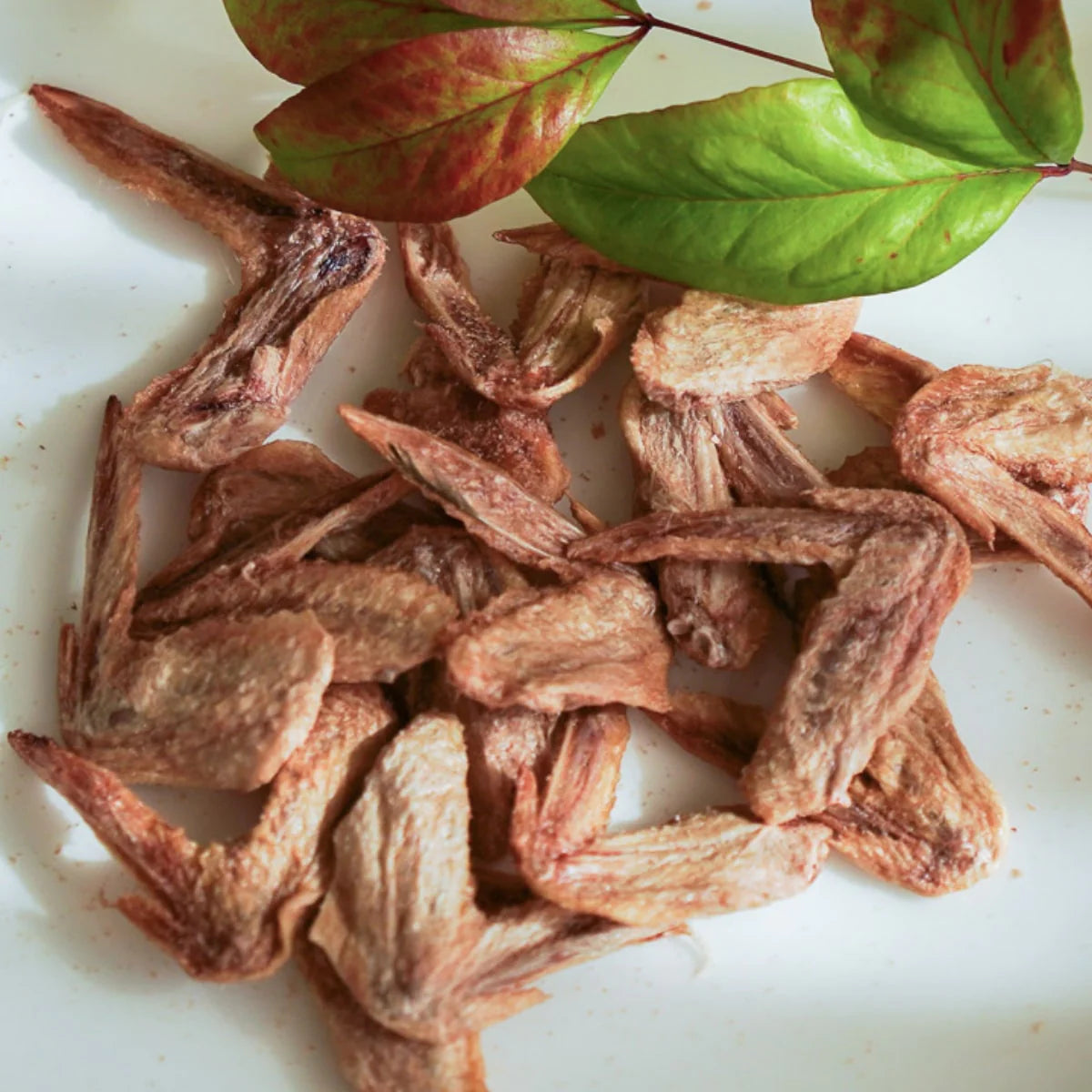 Quail-Wings-_-3-min_b0fb73f4-2b4b-4c70-88b0-c85d65c84988_jpg_1200x1200 ...