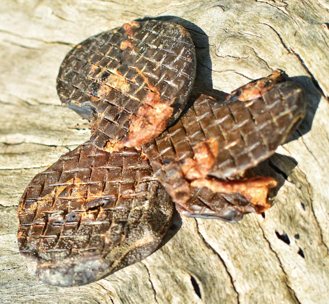 ScreenShot2023-10-15at5.59.36pm_1200x1200.png?v=1697353444