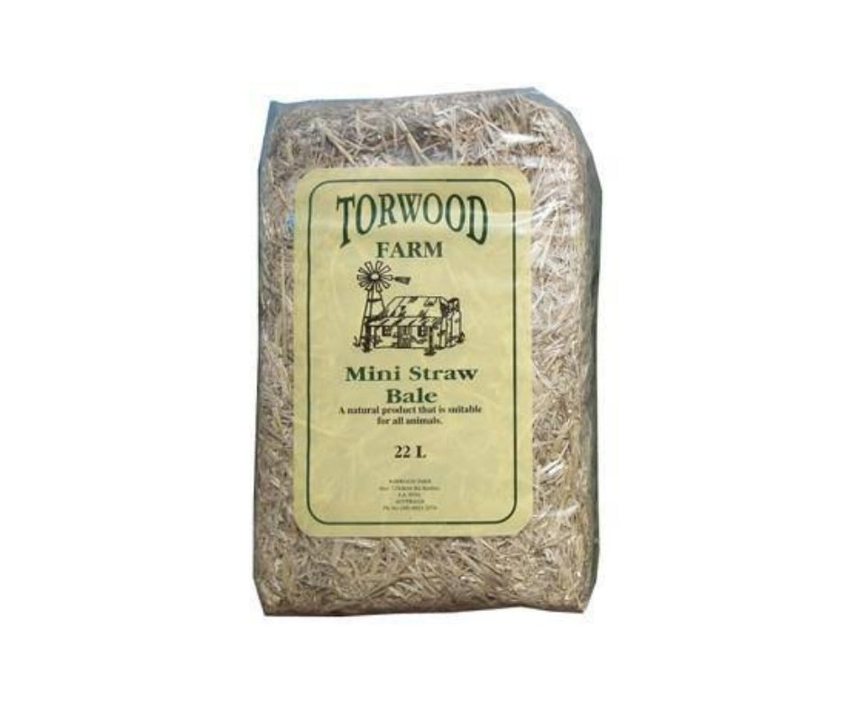 Logopit_1553148853459_1200x1200.jpg?v=1553487166