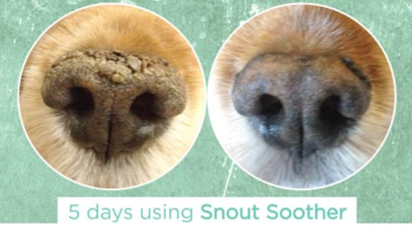 Screen_Shot_2018-03-15_at_8.14.24_PM_1200x1200.png?v=1533445732